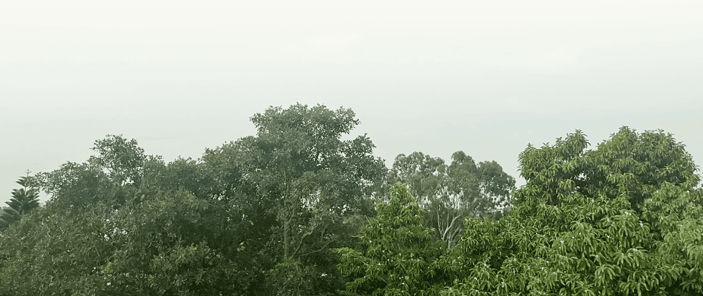 under 12a and 80g of income tax copyright 2023 catch foundation all ...